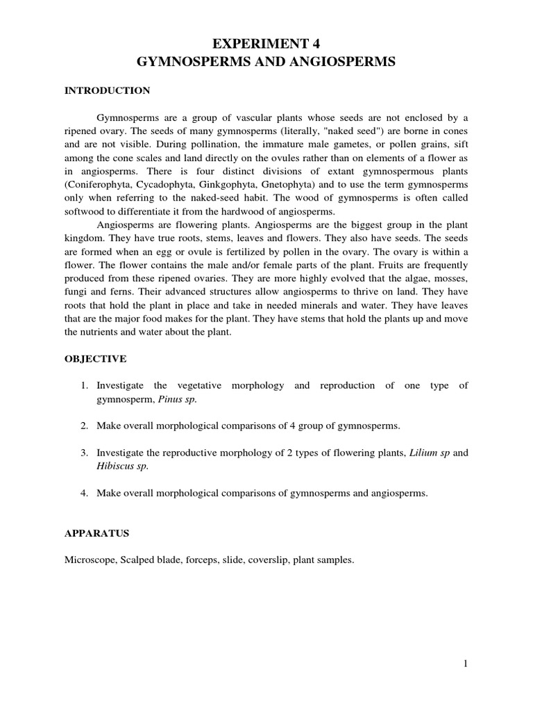 Experiment 4 Gymnosperms and Angiosperms: Hibiscus SP | PDF | Seed | Pollen