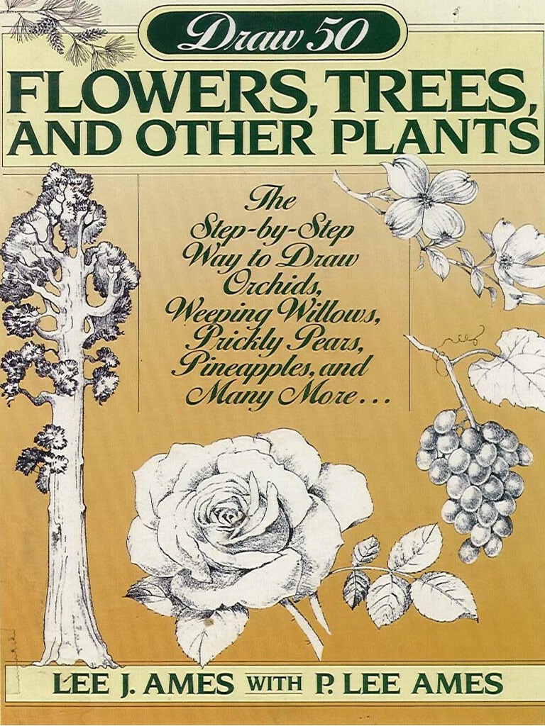 How To Draw Trees and Other Plants | PDF