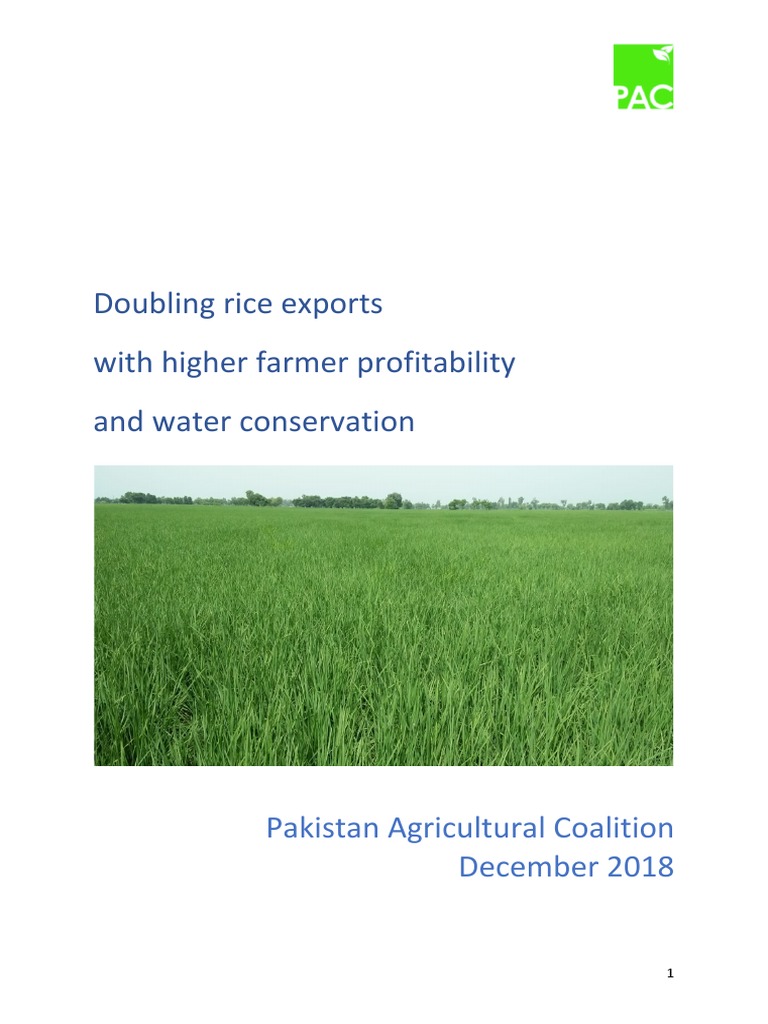 Concept Note For REAP-CIRC | PDF | Rice | Agriculture