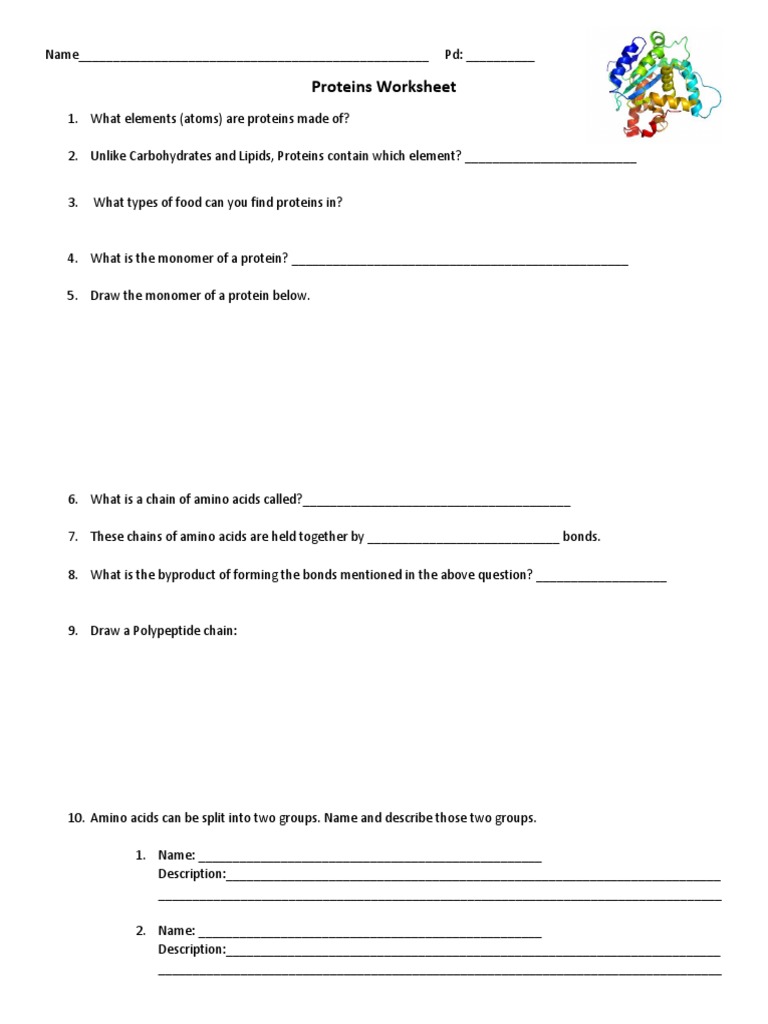 Proteins Worksheet | PDF