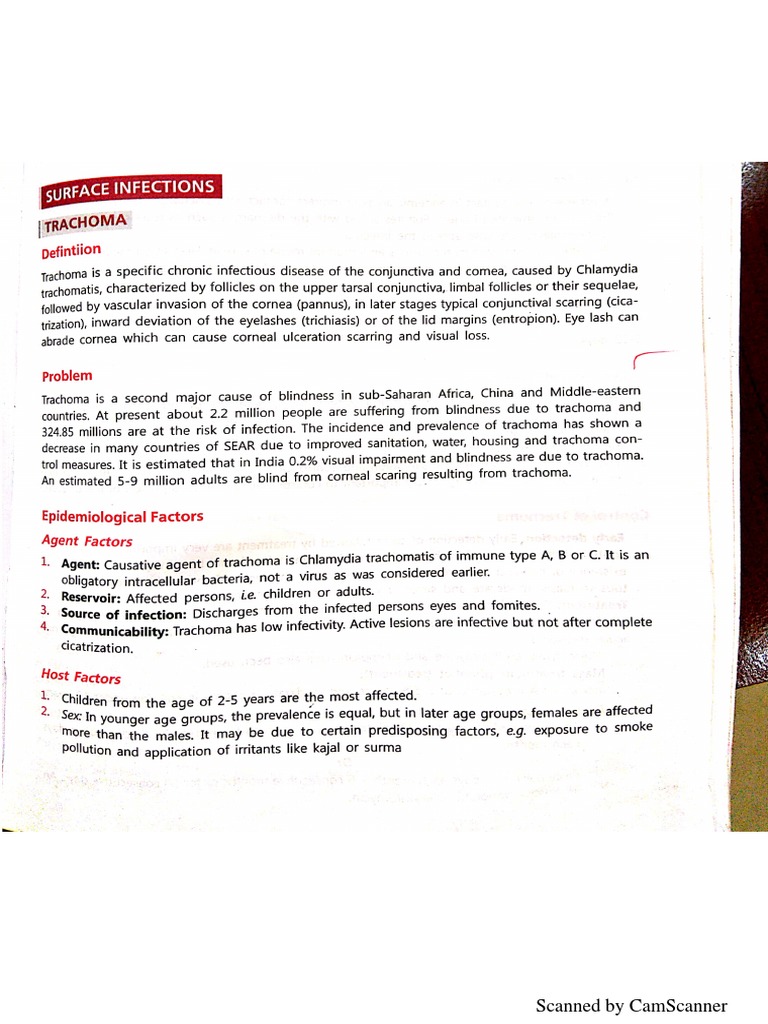 CamScanner Document Scan Overview | PDF