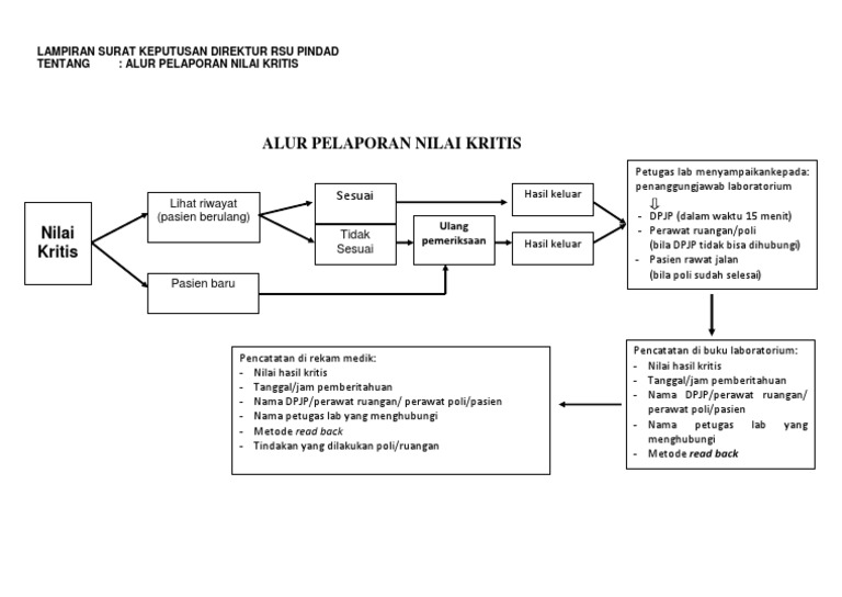 Alur Pelaporan | PDF
