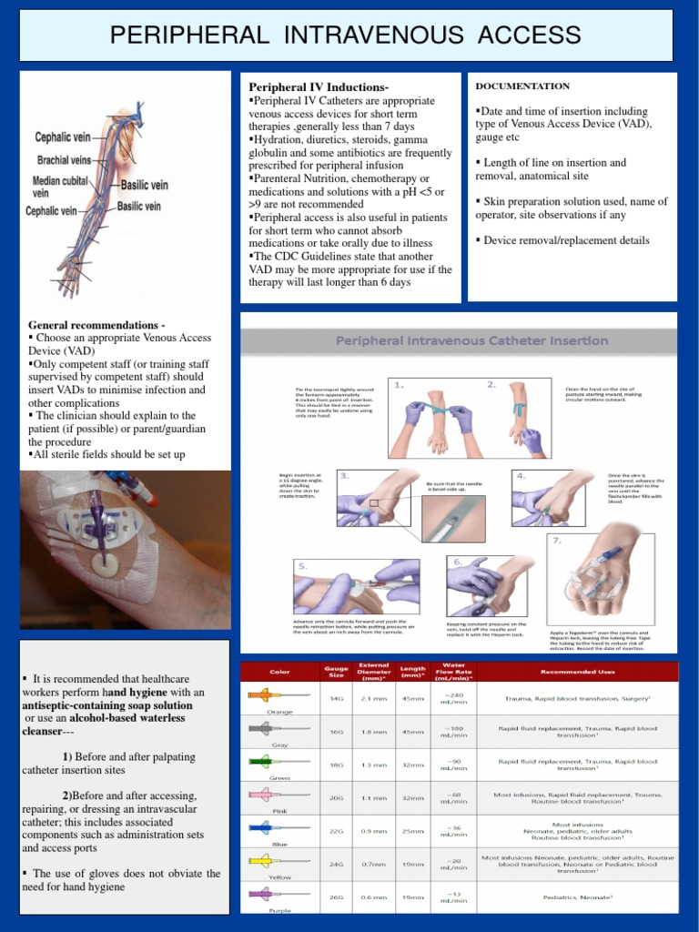 Peripheral Intravenous Access Poster | PDF | Intravenous Therapy | Medical Treatments