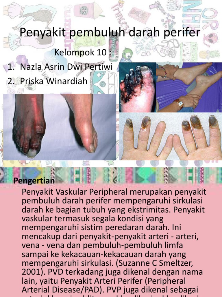 Pembuluh Darah Perifer | PDF