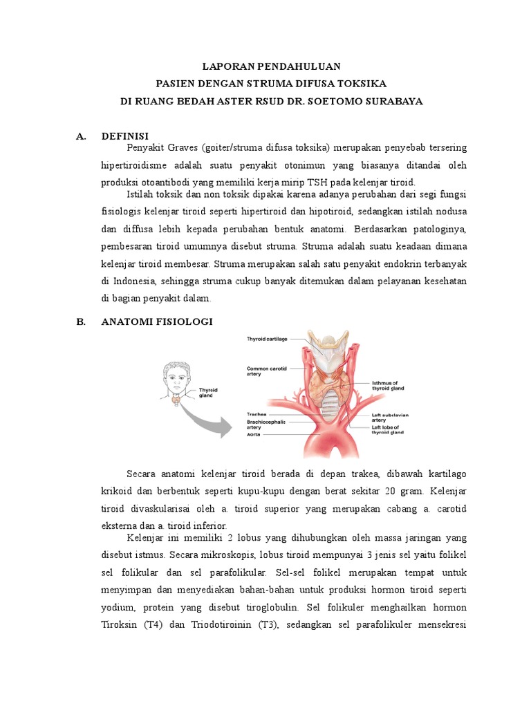 LP Struma Difusa | PDF | Kesehatan Holistik | Sains & Matematika