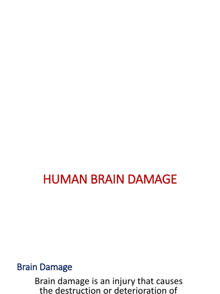 Understanding Brain Damage Types and Causes | PDF | Brain Tumor | Stroke