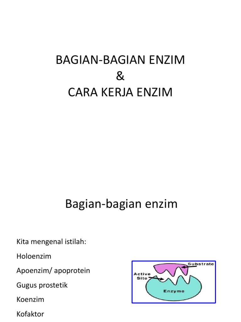 Bagian-Bagian Enzim & Cara Kerja Enzim | PDF
