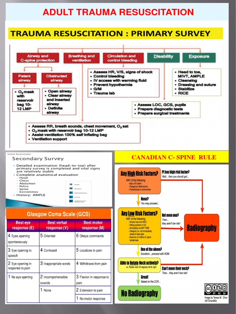 Trauma Resuscitation | PDF