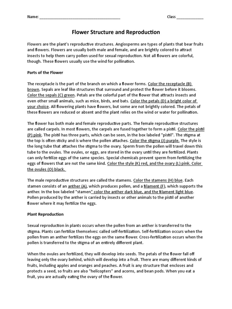 Flower Structure and Reproduction | PDF | Flowers | Pollination