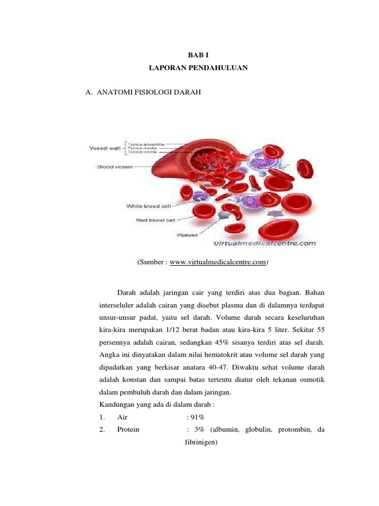 Askep Teori DHF | PDF