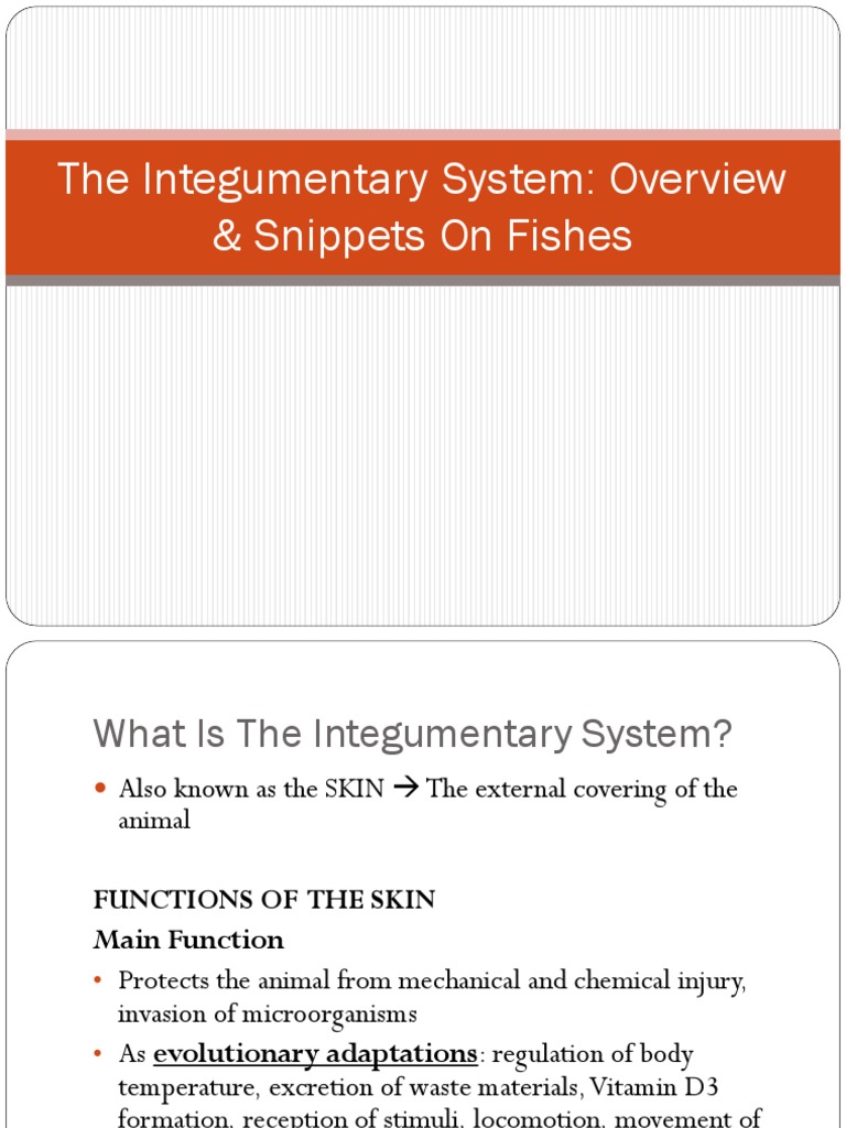 Comparative Vertebrate Anatomy - Integumentary System | PDF ...