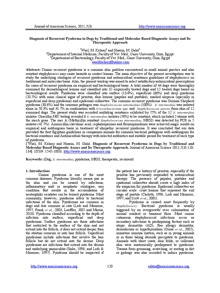 Staphylococci. Bacterial Pyoderma Is Usually | PDF | Methicillin ...
