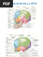Anatomie du Rocher Temporal | PDF | Système vestibulaire | Tête et cou ...