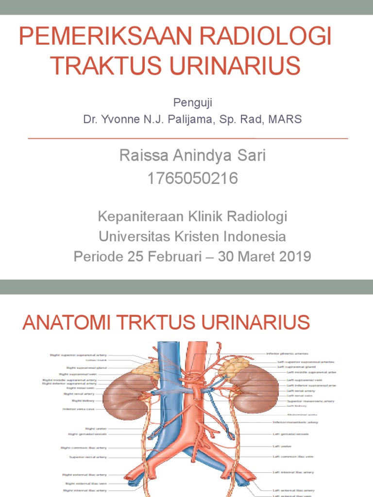 Pemeriksaan Radiologi Traktus Urinarius - Raissa Anindya Sari ...