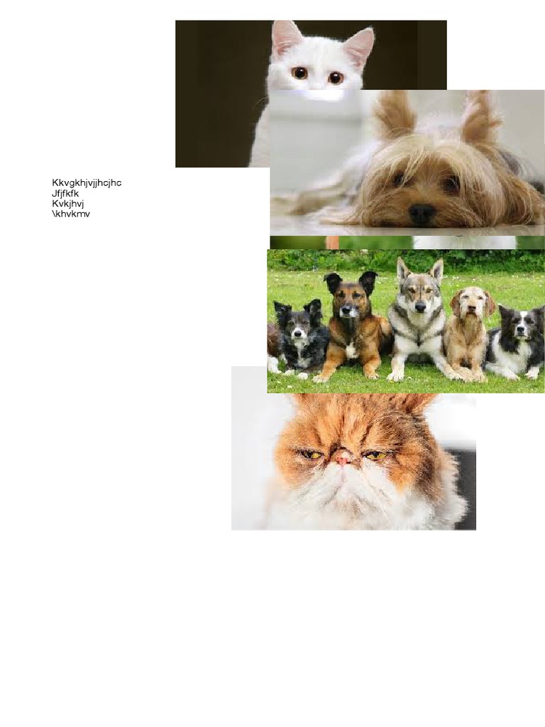 KKVGKHJVJJHCJHC JFJFKFK KVKJHVJ /KHVKMV | PDF