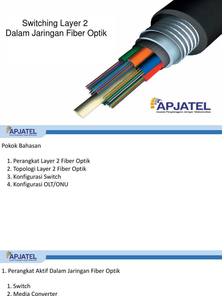 Layer 2 Network Switching in Fiber Optic Networks | PDF