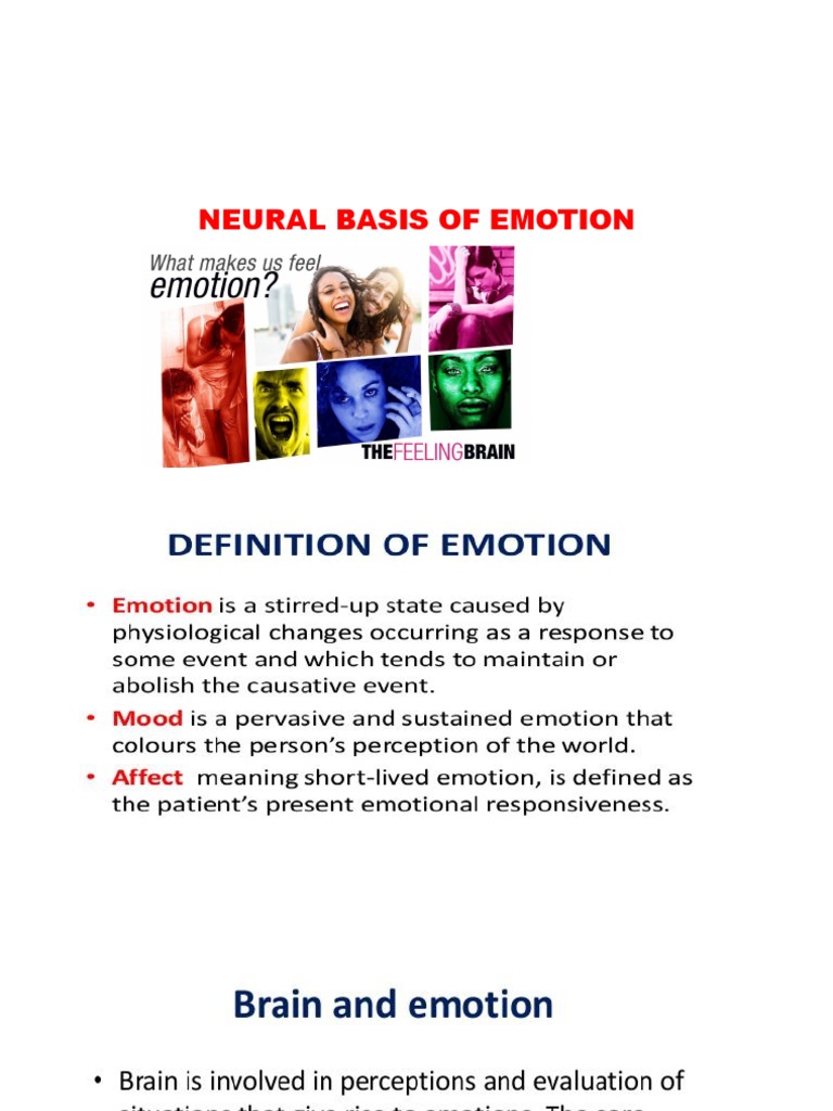 Neural Basis of Emotion | PDF | Amygdala | Neurotransmitter