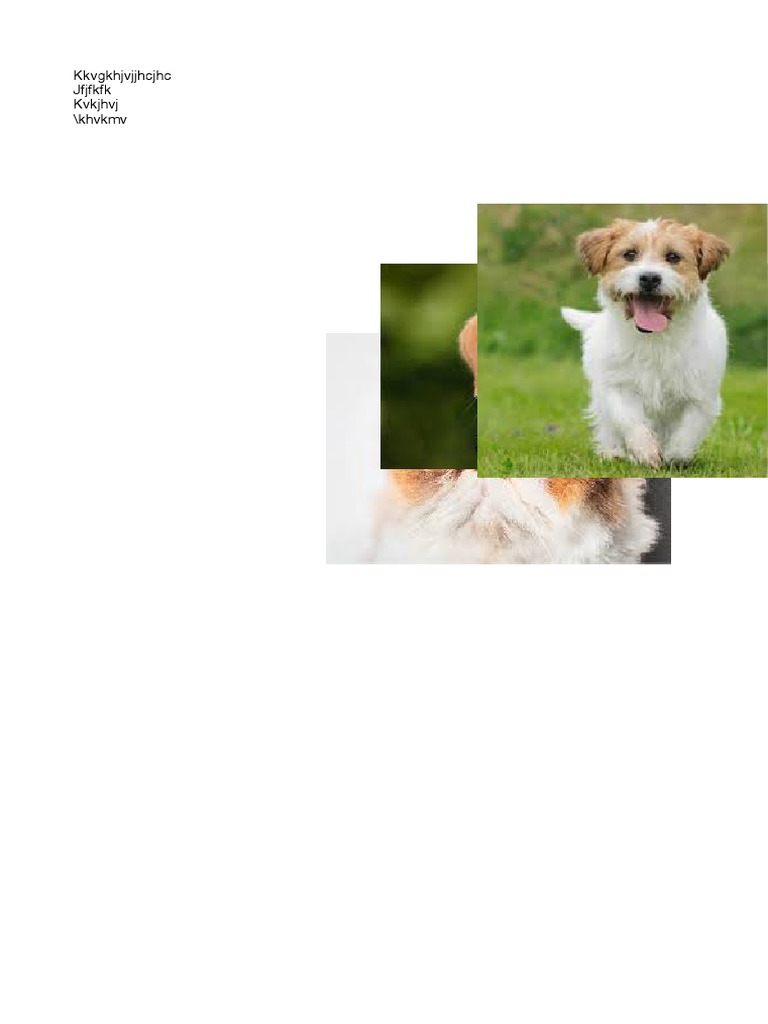 KKVGKHJVJJHCJHC JFJFKFK KVKJHVJ /KHVKMV | PDF