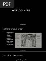 Types and Functions of Tooth Embrasures | PDF