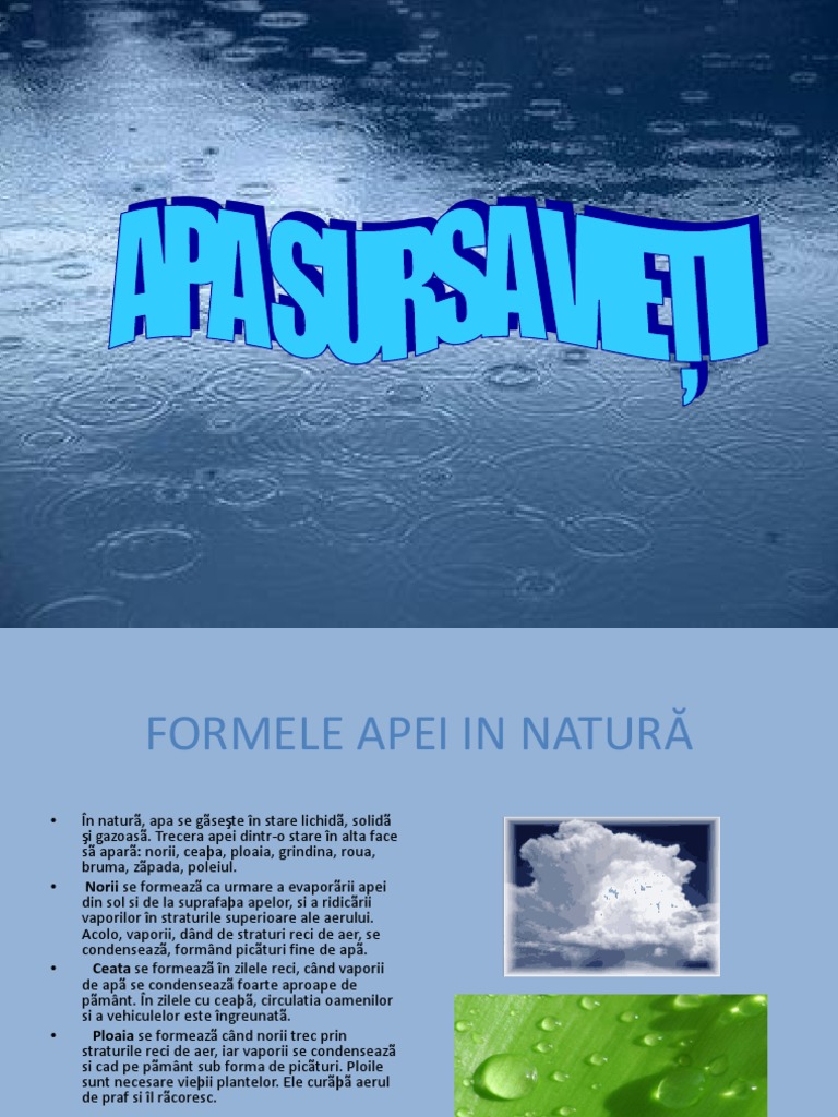 Apa Proiect Interdisciplinar | PDF