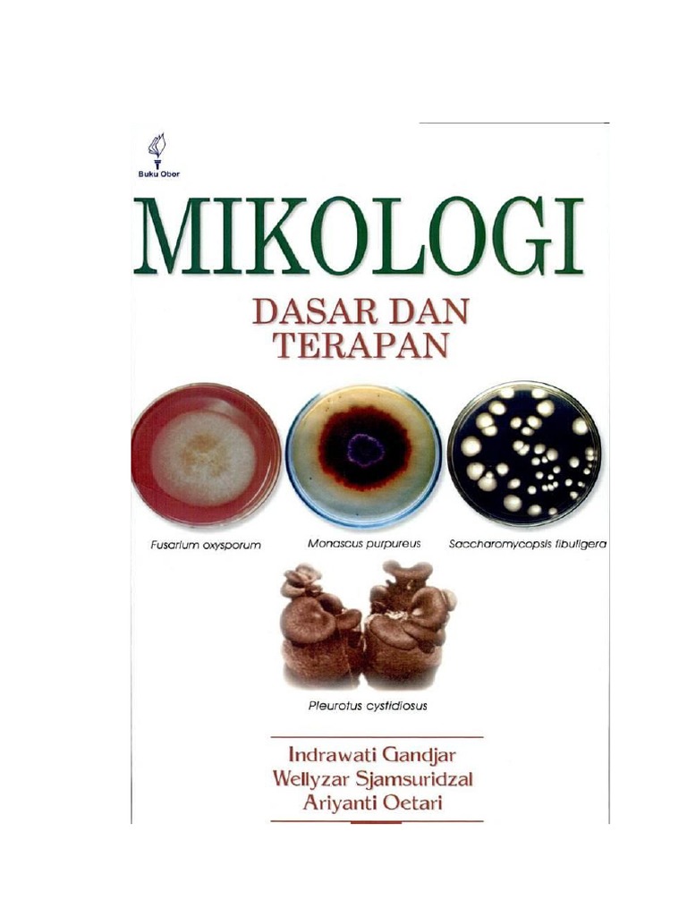 Indrawati Gandjar 2006 | PDF