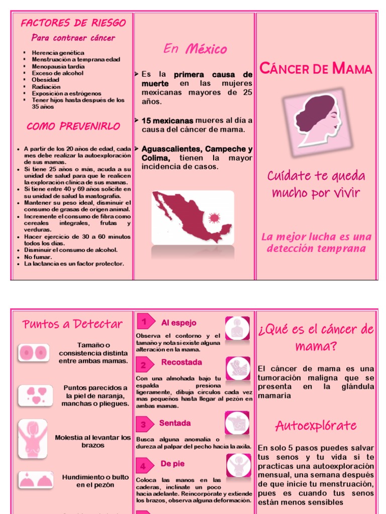 Triptico de Cáncer de Mama | PDF | Cáncer de mama | Pecho