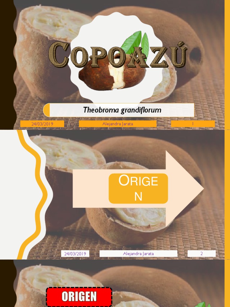 Copoazú. 2 | PDF | Fruta tropical | Fruta
