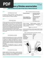 Incisión Rocky Davis | PDF | Medicina CLINICA | Anatomía