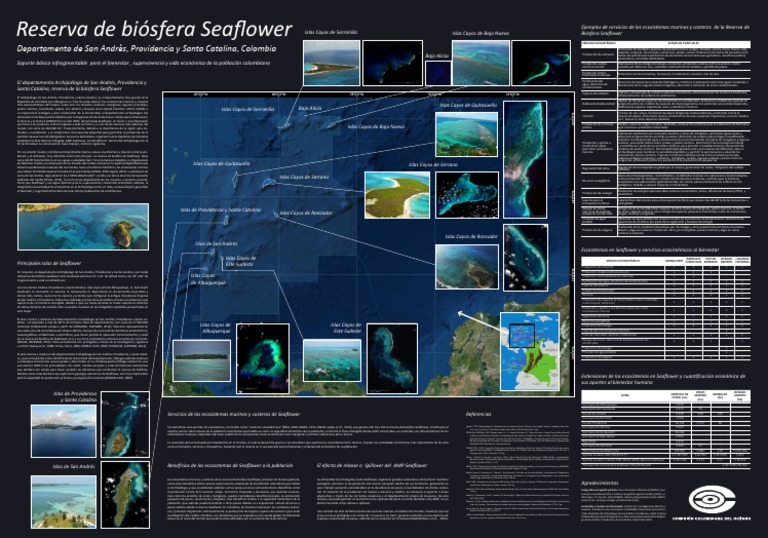 Servicios Ecosistémicos de Seaflower | PDF | Arrecife de coral | Isla
