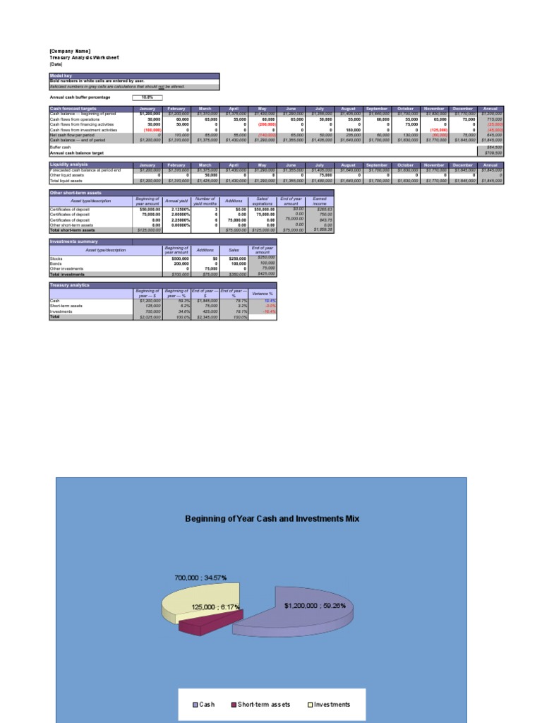 Treasury Analysis Worksheet: (Company Name) | Download Free PDF ...