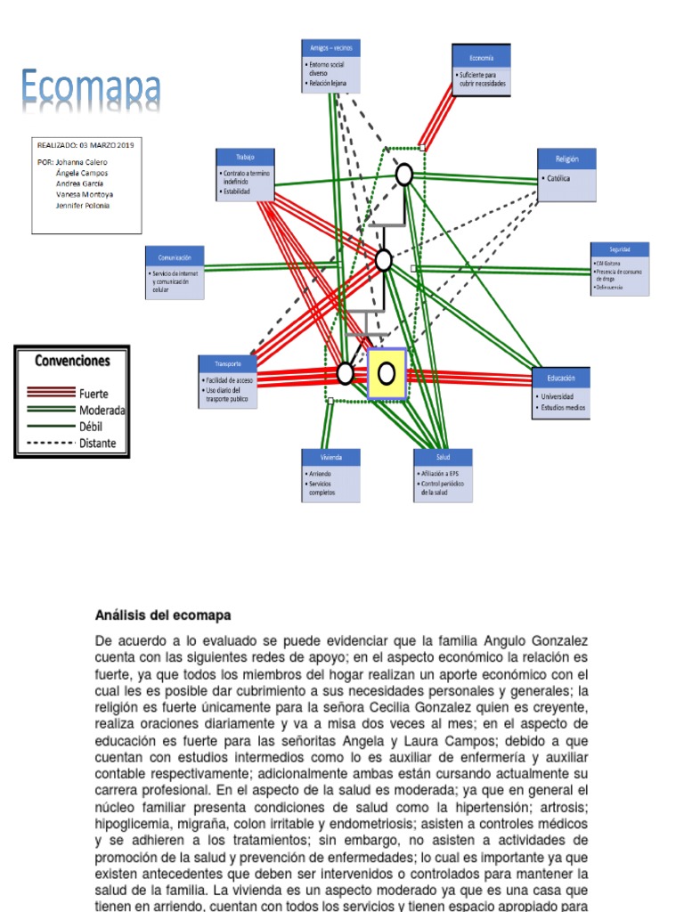 Análisis Del Ecomapa | PDF | Enfermería | Bienestar