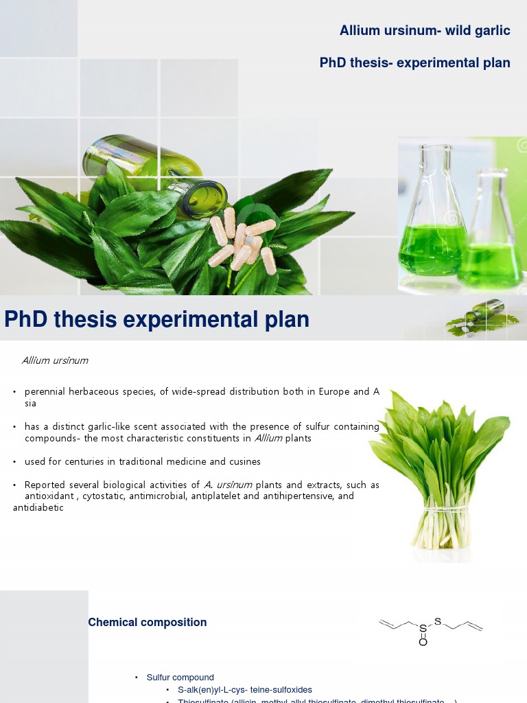 Medicine Herb and Herbal Pills PowerPoint Templates Standard | Garlic ...
