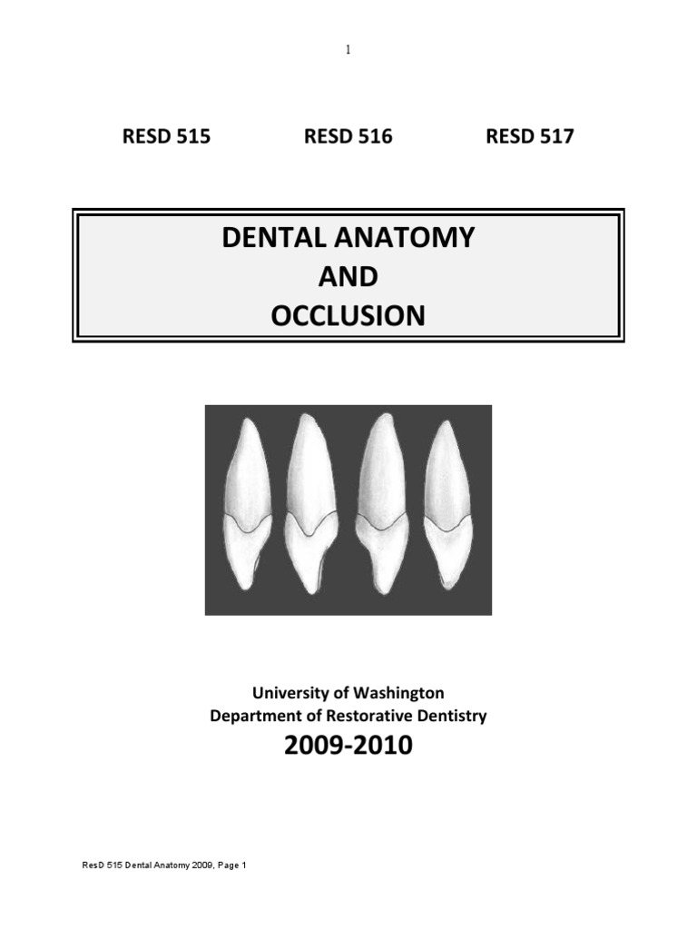 Dental Anatomy Manual | PDF | Human Tooth | Tooth