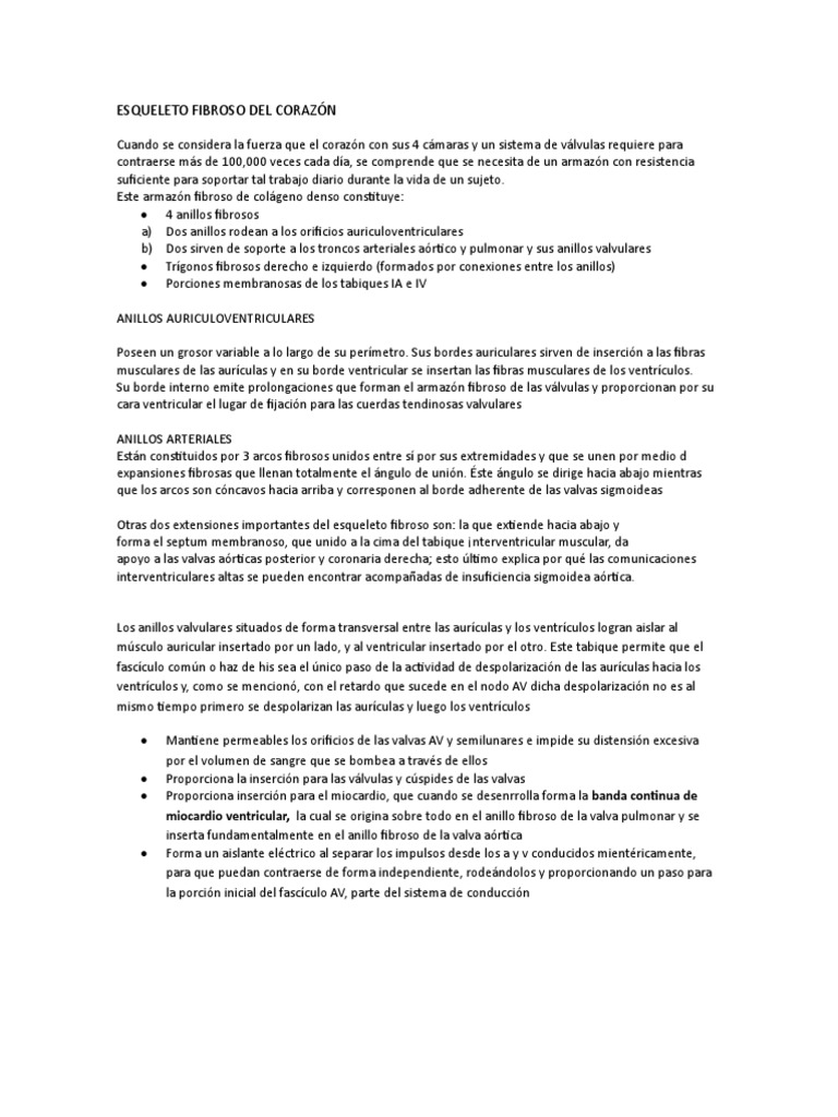 Esqueleto Fibroso Del Corazón | PDF | Ventrículo (corazón) | Corazón