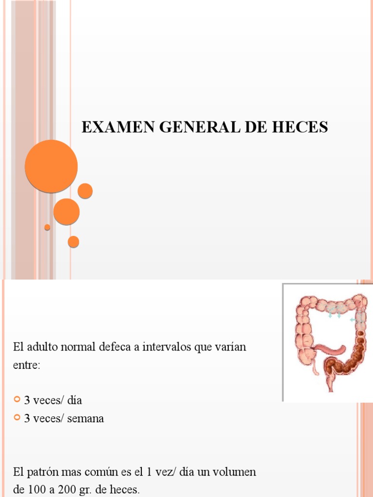 Examen General de Heces | PDF | Heces | Digestión