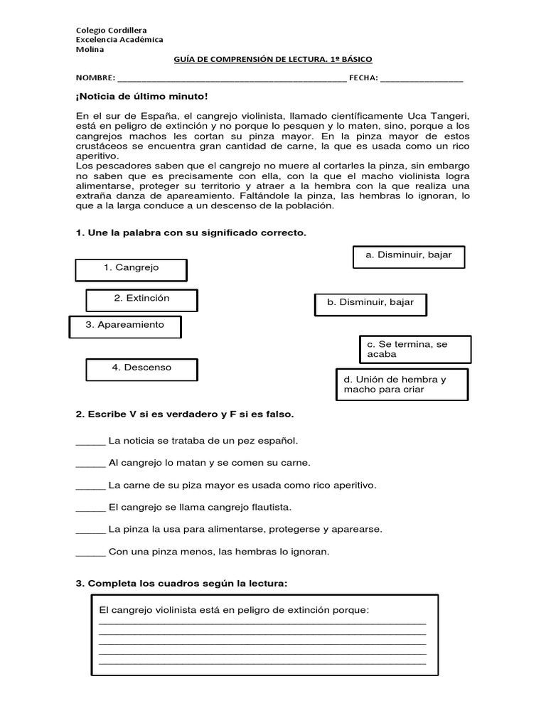 Guía de Comprensión Lectora 1º Básico | PDF | Perros | Ocio