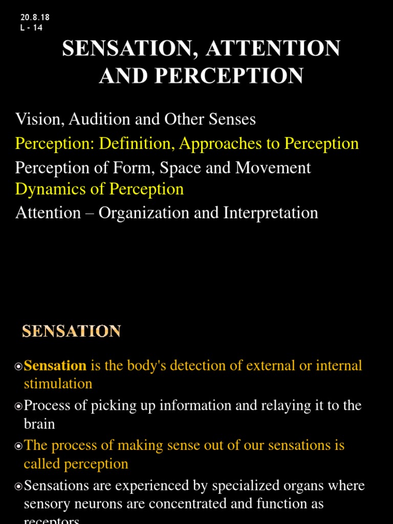 Sensation And Perception