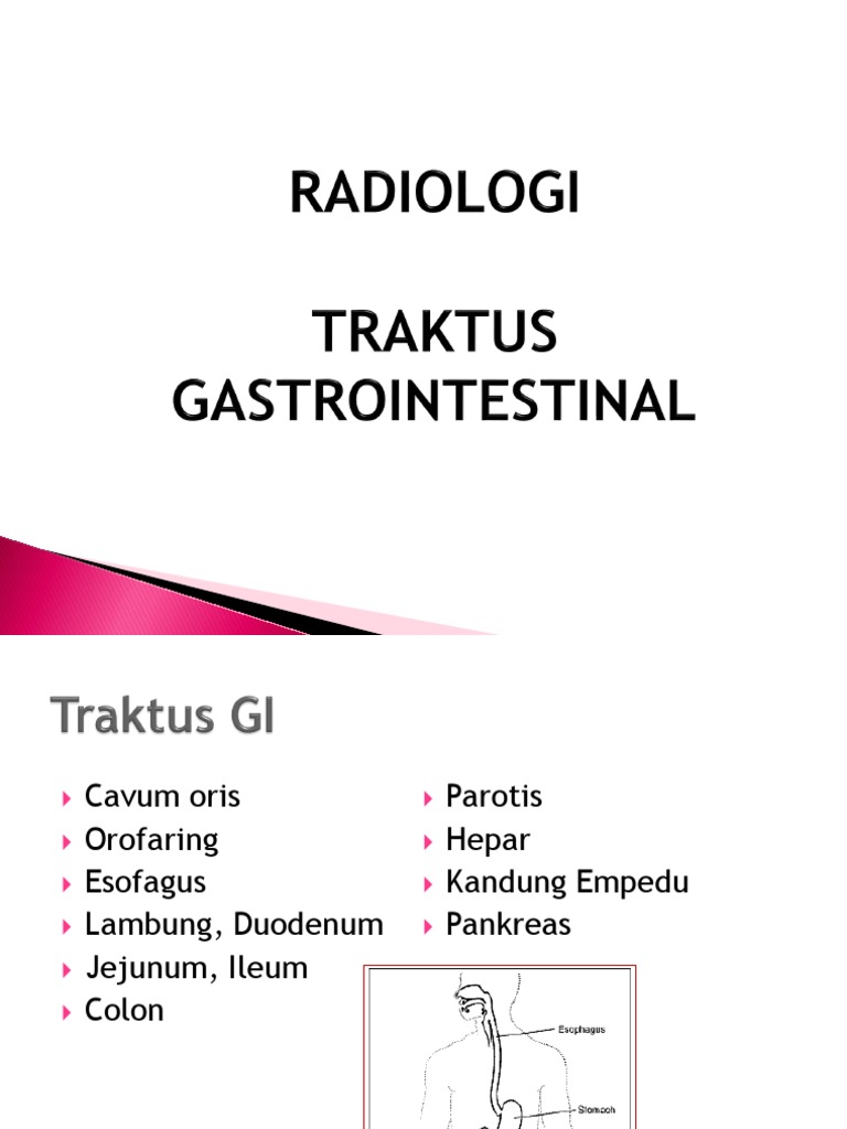 Osce Abdomen | PDF | Gastrointestinal Tract | Small Intestine