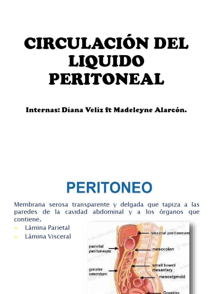 Liquido Peritoneal | PDF | Abdomen | Anatomía