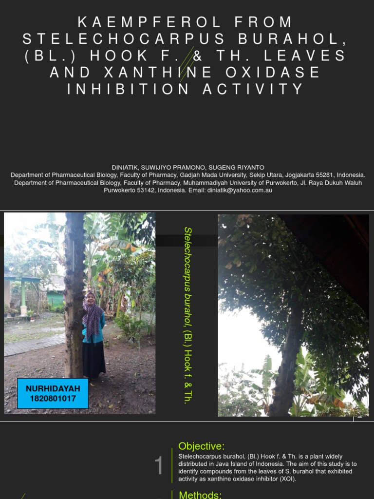 Kaempferol From Stelechocarpus Burahol, (BL.) Hook F. & Th. Leaves and ...