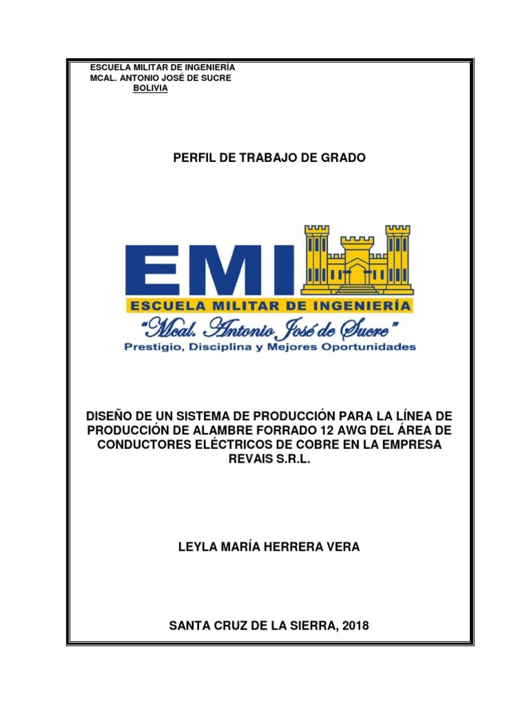 Perfil Leyla Maria Herrera Vera A15469-5 PDF | PDF | Cobre | Planificación