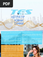 Talahib and Saba Banana Pseudo Stem As An Alternative Paper Bag Final ...