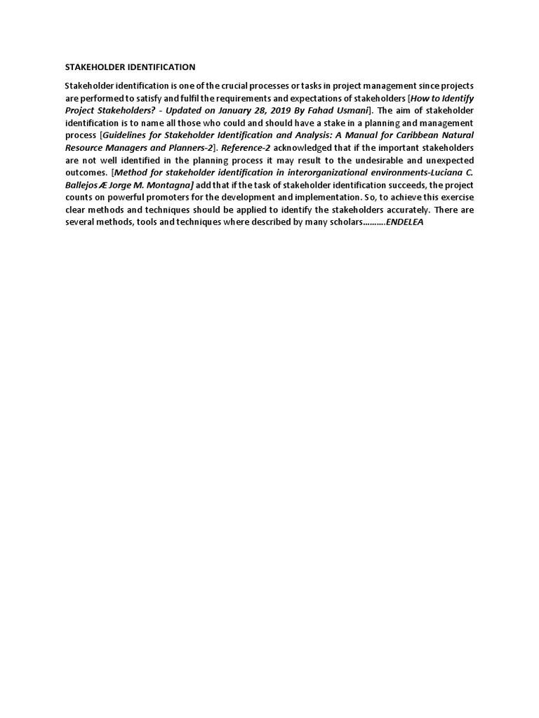 Stakeholder Identification | PDF | Stakeholder (Corporate) | Project ...