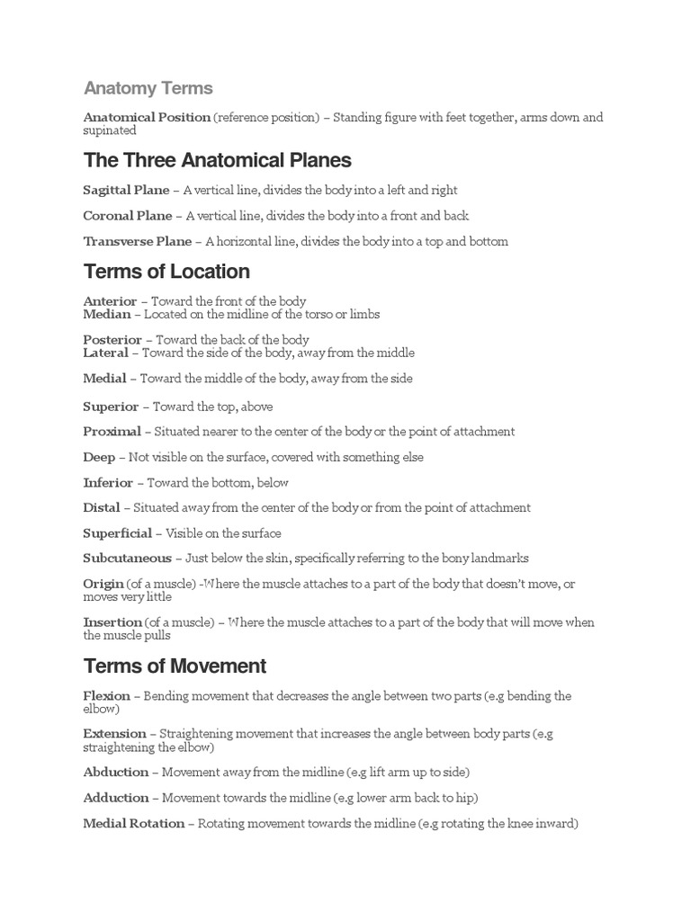 The Three Anatomical Planes: Anatomy Terms | PDF | Anatomical Terms Of ...