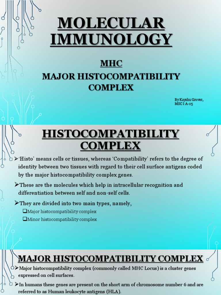 MHC (Major Histocompatibility Complex) | PDF | Major Histocompatibility ...