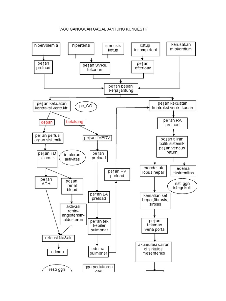 WOC CHF. | PDF | Glands | Organ (Anatomy)