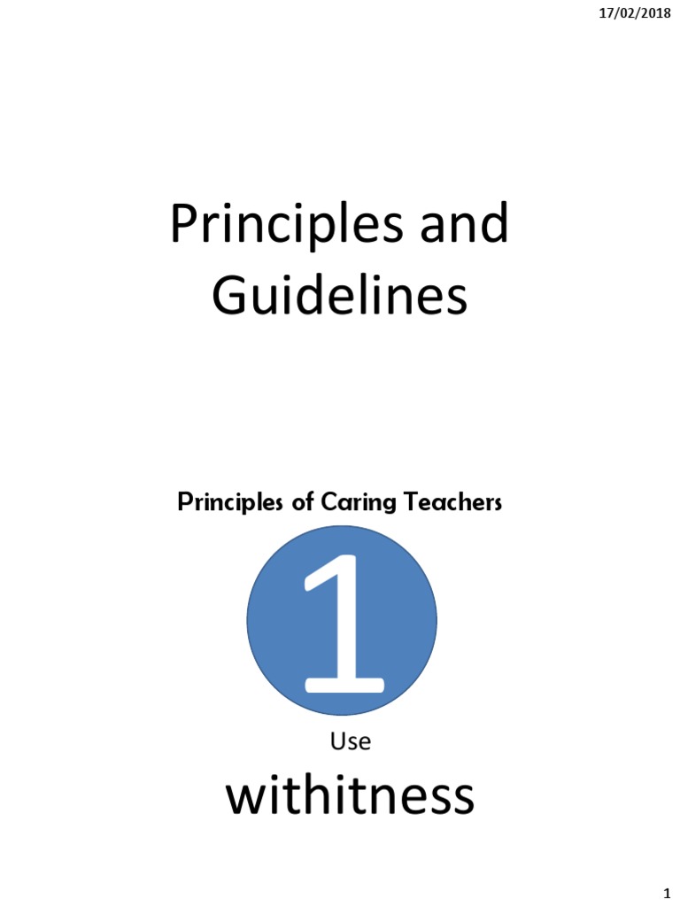 Principles and Guidelines | PDF
