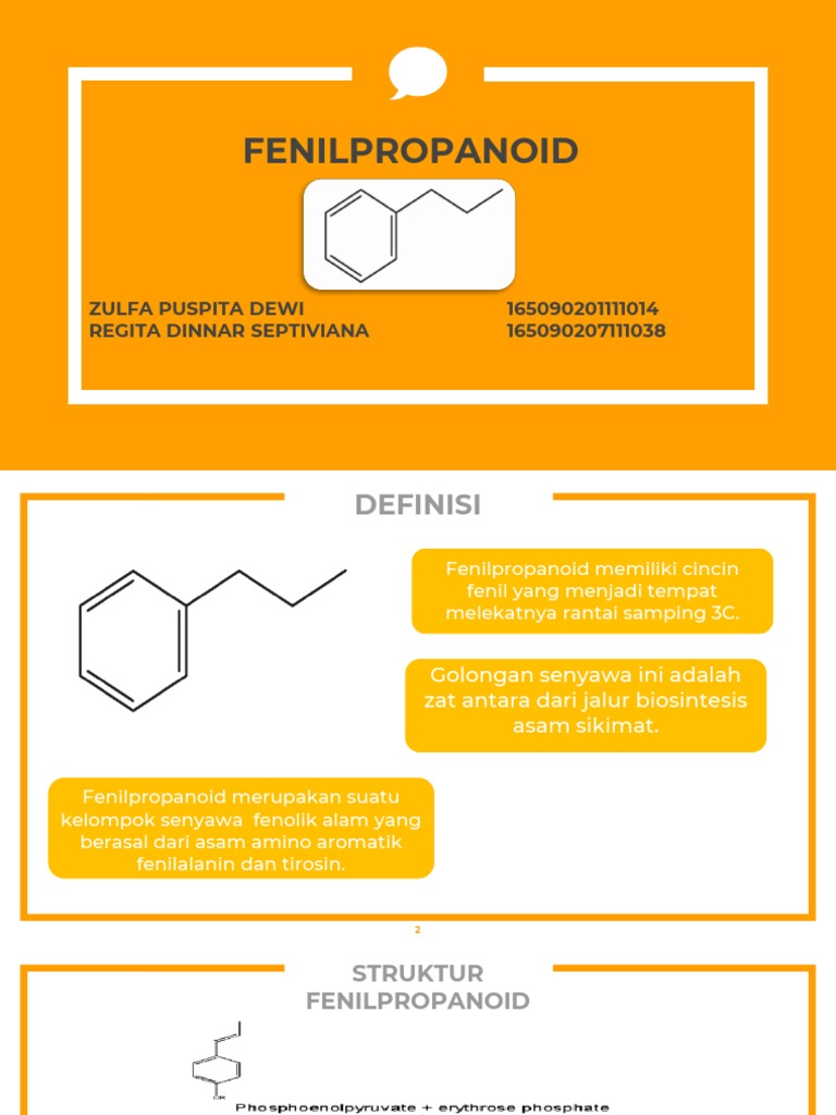 Kel. 21 Fenilpropanoid | PDF | Kesehatan Holistik