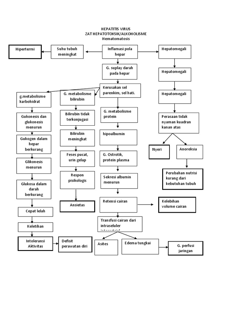 Pathway | PDF