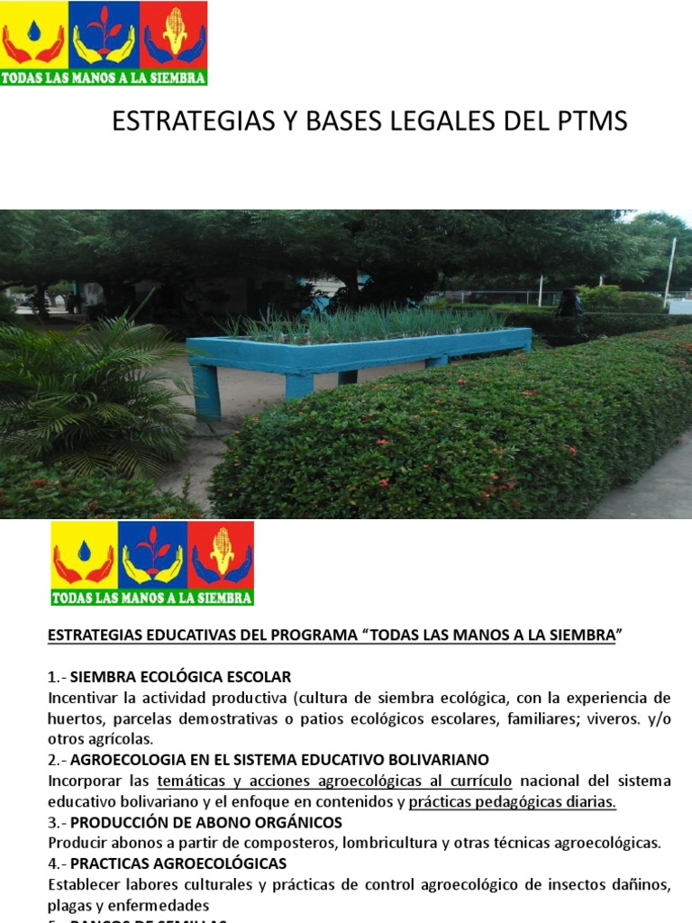Estrategias y Bases Legales Ptms. | PDF | Agroecología | Plan de estudios